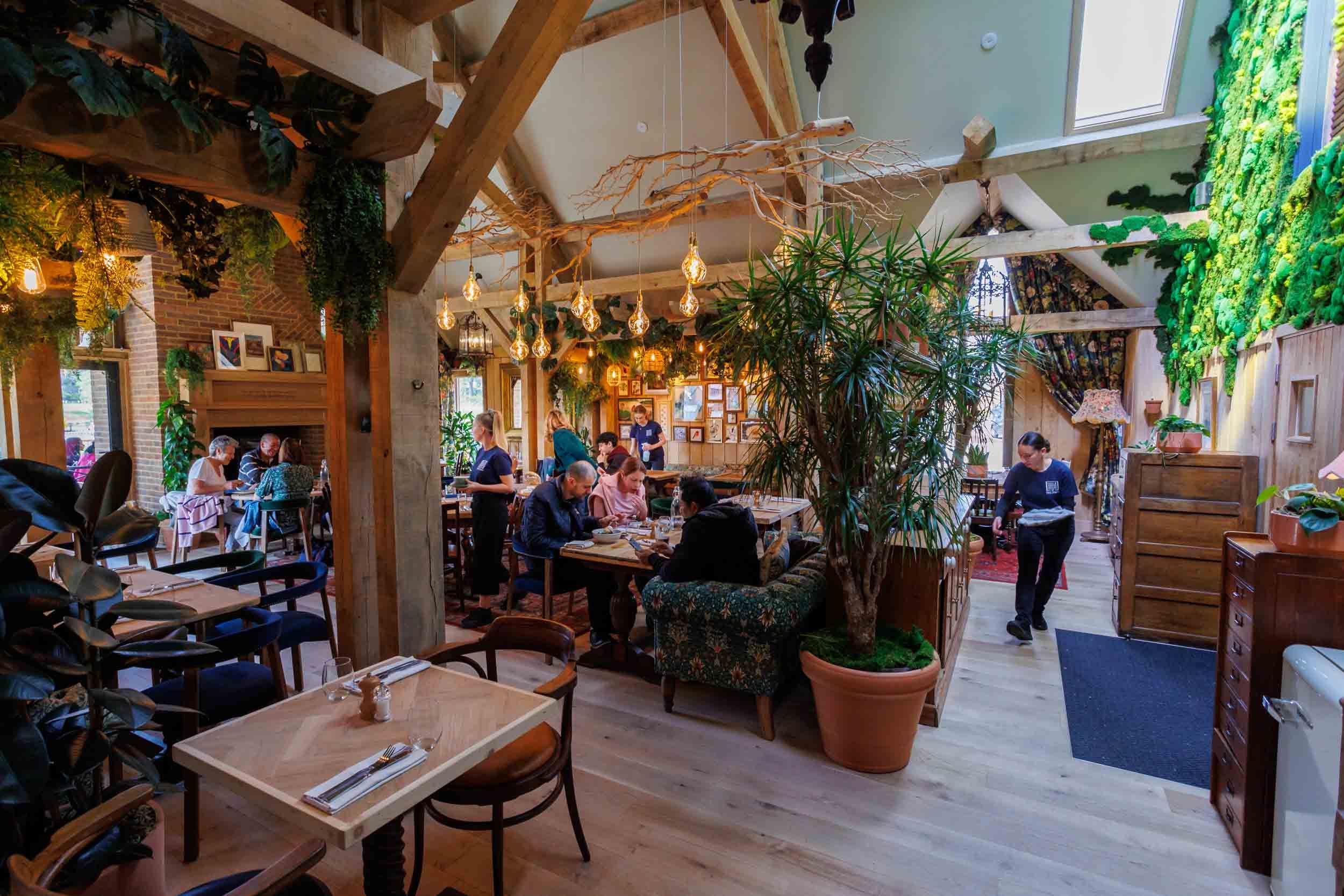 What’s On at The Frog