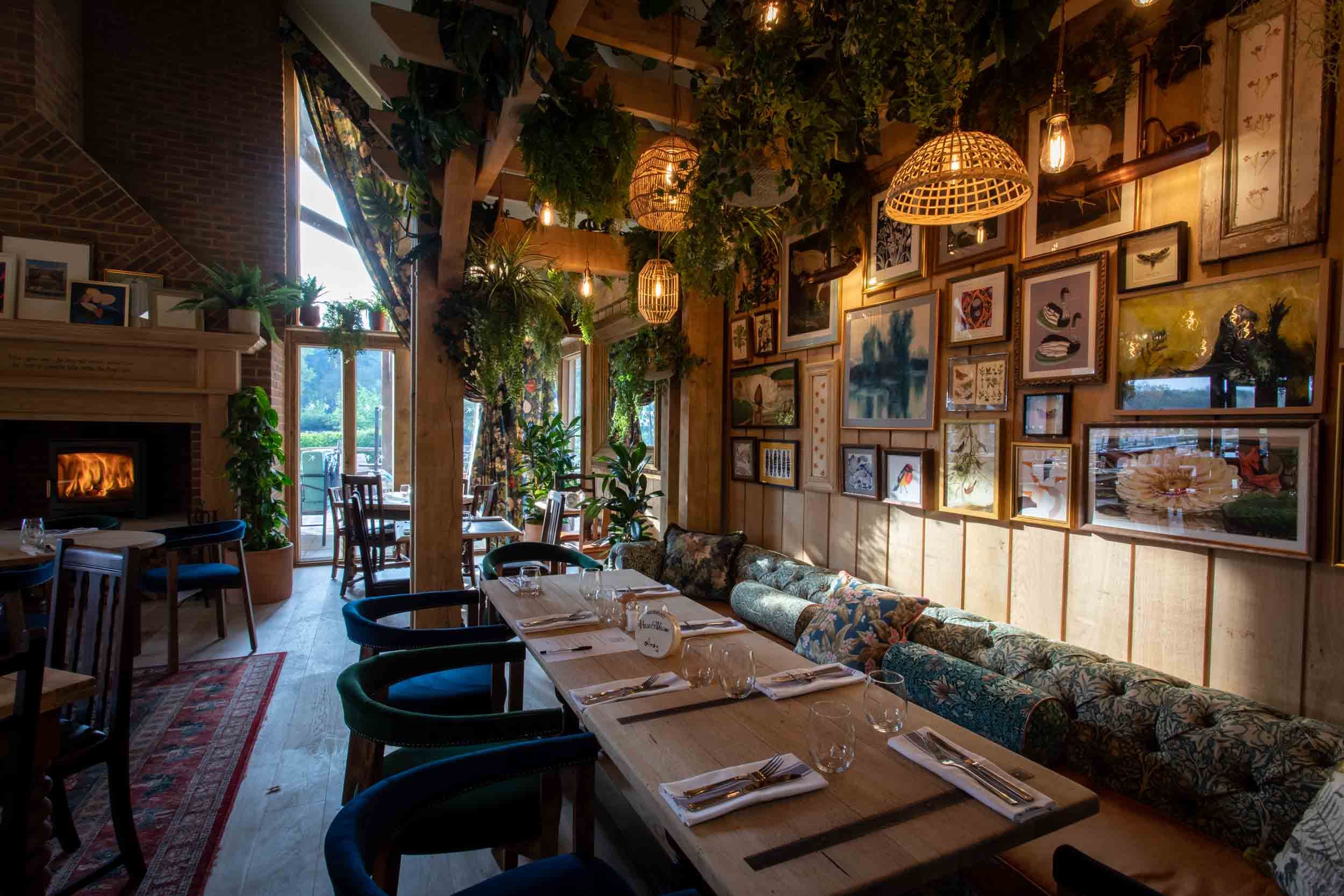 The Frog | Best Coffee Bar in Deepcut